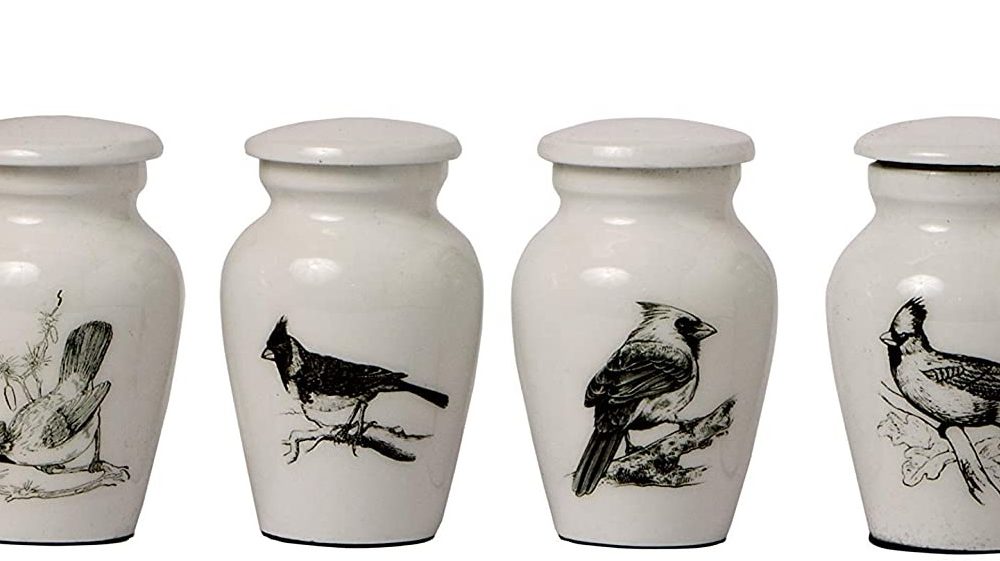 Mascotas | Ánforas Chile