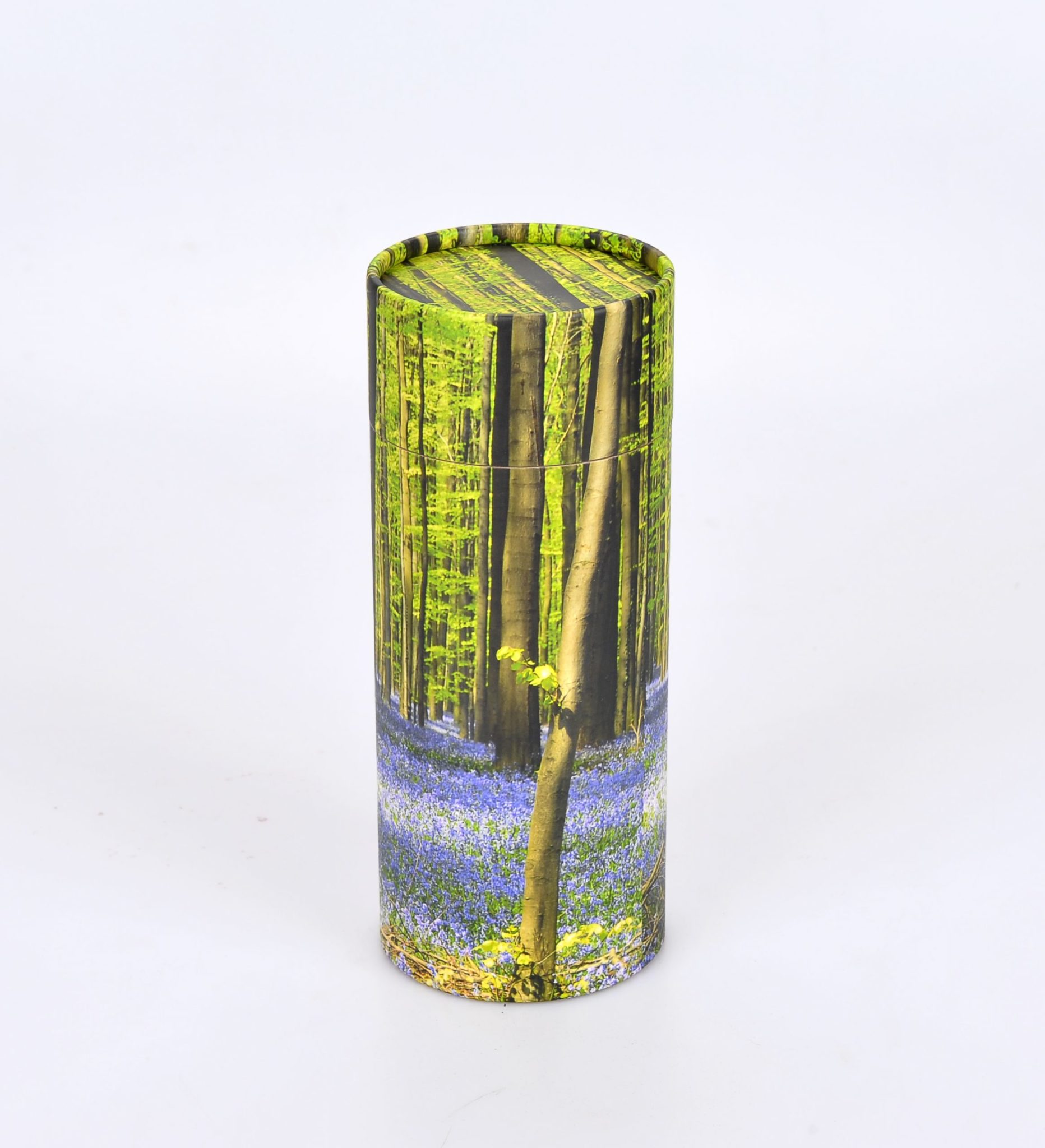 Ánforas Biodegradables | Ánforas Chile