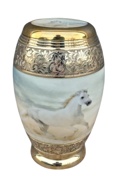 Ánfora L | Ánforas Chile