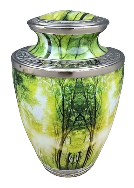 Forest | Ánforas Chile