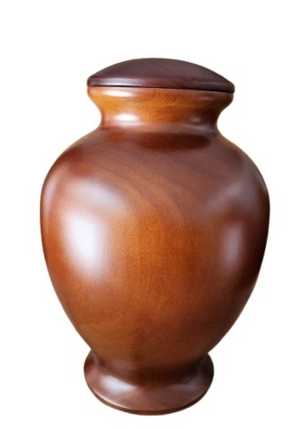 Paulonia | Ánforas Chile