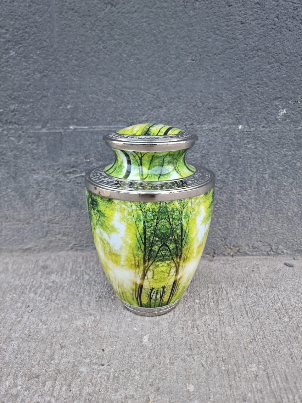 Forest | Ánforas Chile