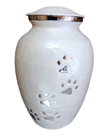 2900XS | Ánforas Chile