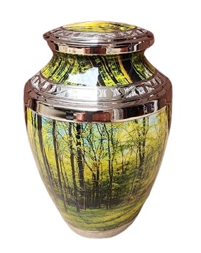 Forest | Ánforas Chile