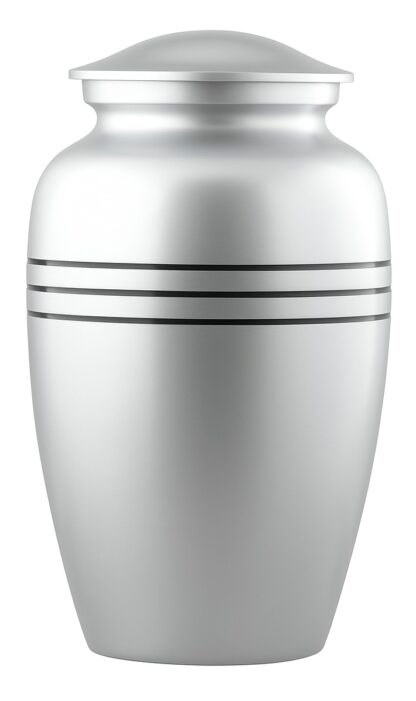 Plata Clásica Básica | Ánforas Chile